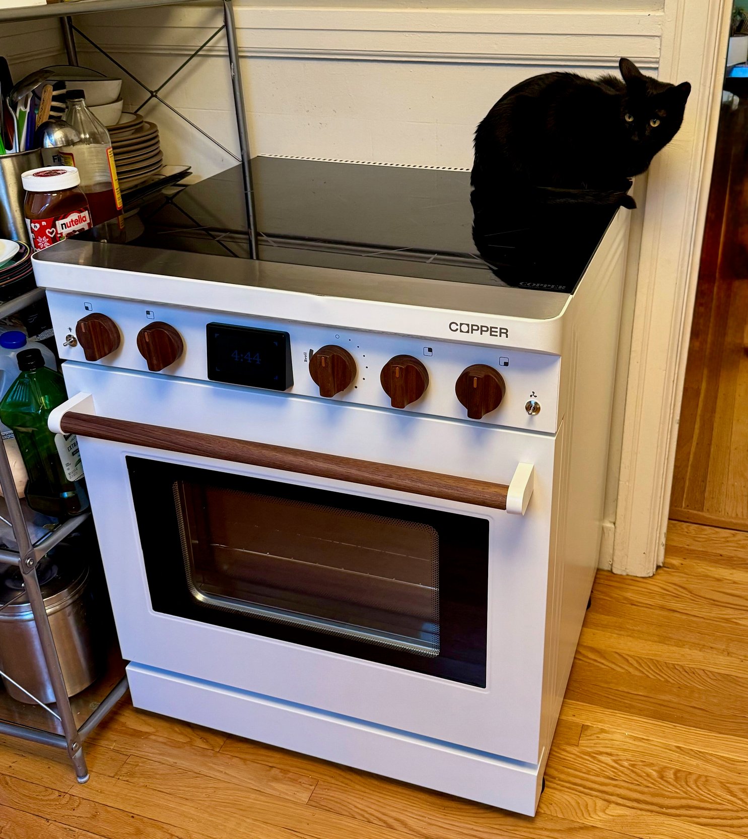 Is the Copper Charlie, Electra, or Impulse 120-volt, battery-assisted ...